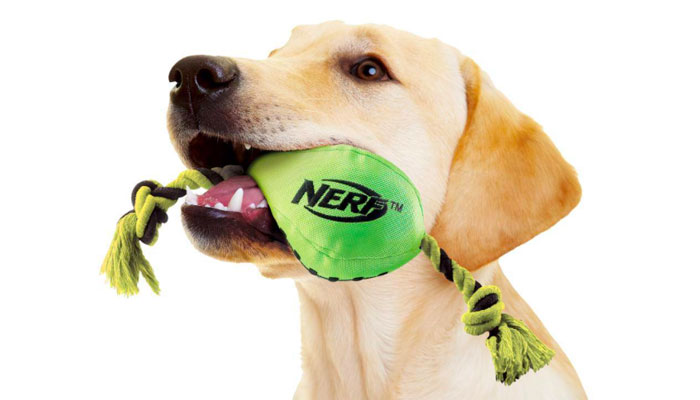 The Brand Radar: Nerf, Gramercy and how to succeed in specialist ...