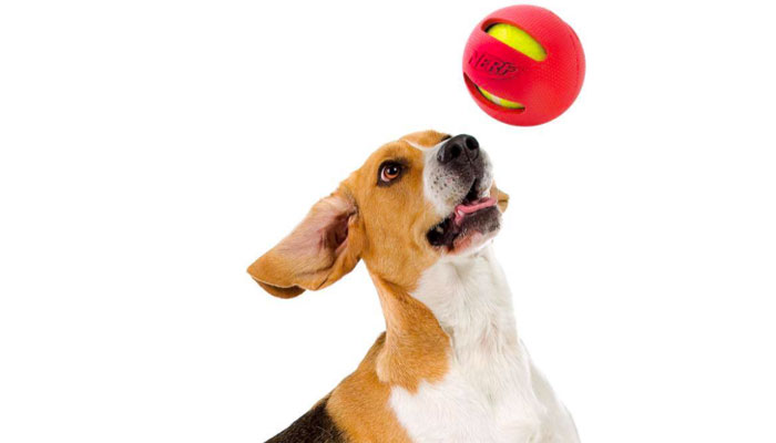 The Brand Radar: Nerf, Gramercy and how to succeed in specialist ...