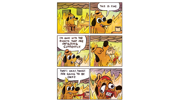 KC Green’s ‘This is Fine’ comic gets the dog toy treatment from Bark ...