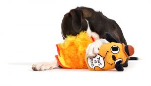 KC Green’s ‘This is Fine’ comic gets the dog toy treatment from Bark ...