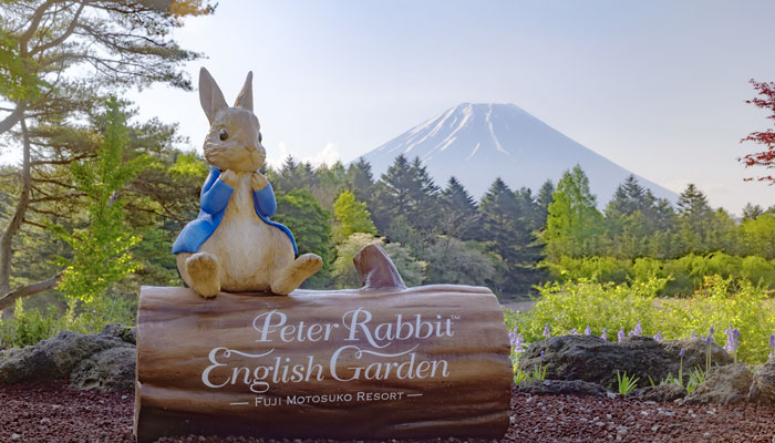 Penguin Ventures renews agency partnership with Sony Creative Products ...