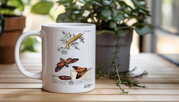 From insect-friendly lighting to botanical beverages: Royal ...